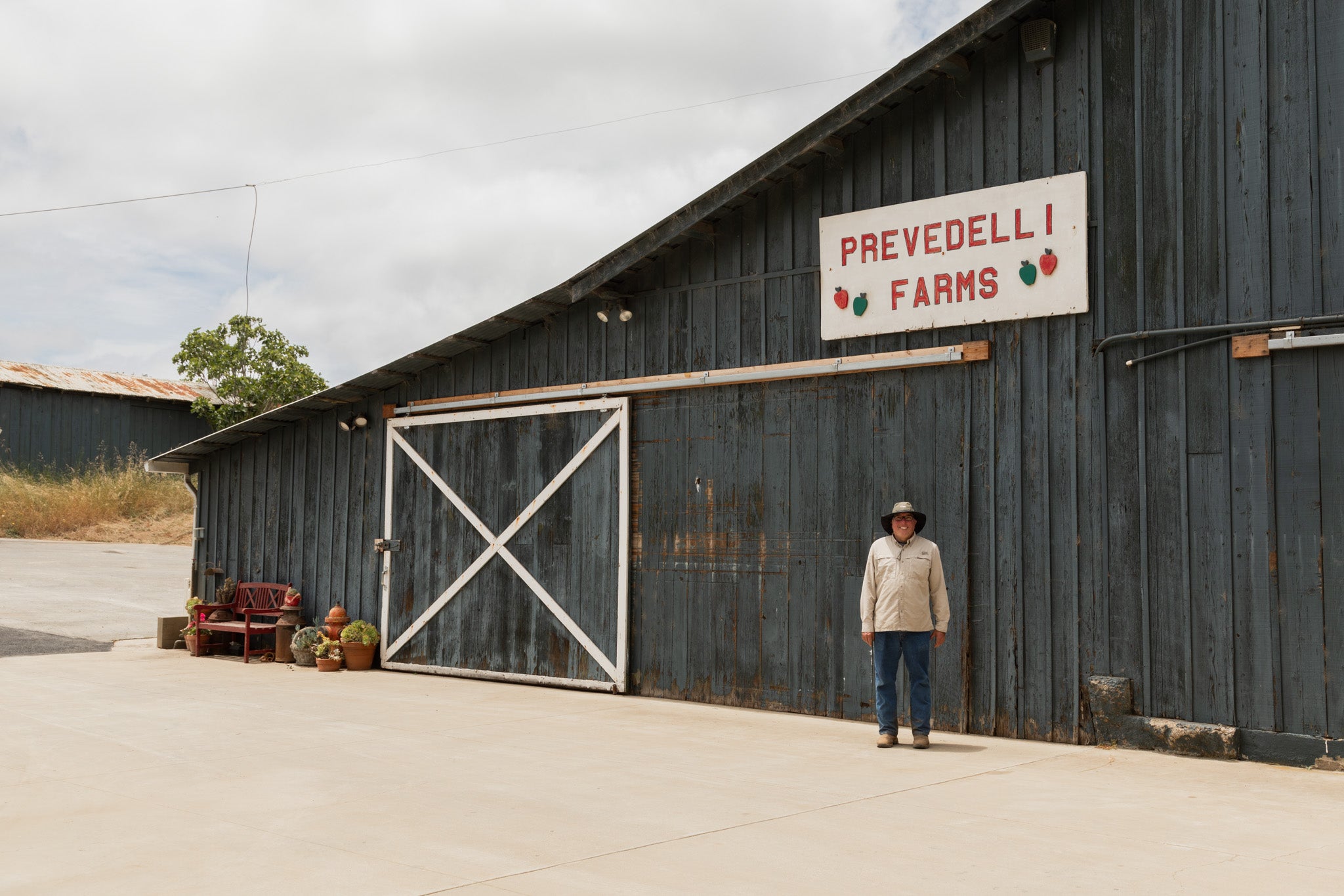 Prevedelli Farms: An Organic Haven of Lemons, Berries and More ...